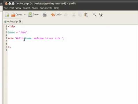 PHP Tutorial - Using the 'echo' Statement for Beginners - YouTube