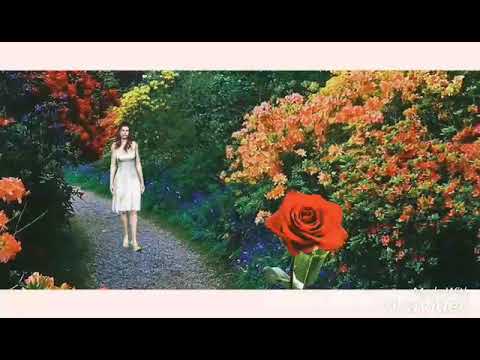 Manzil Meri Bas Tu Hi Tu Chura Ke Dil Mera Goriya Chali