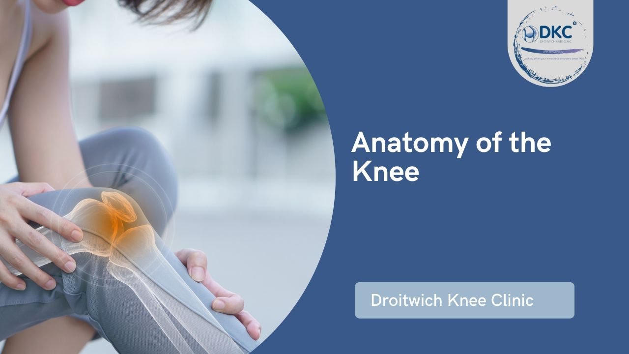 Unlock the Mystery of How the Human Knee Works! - YouTube