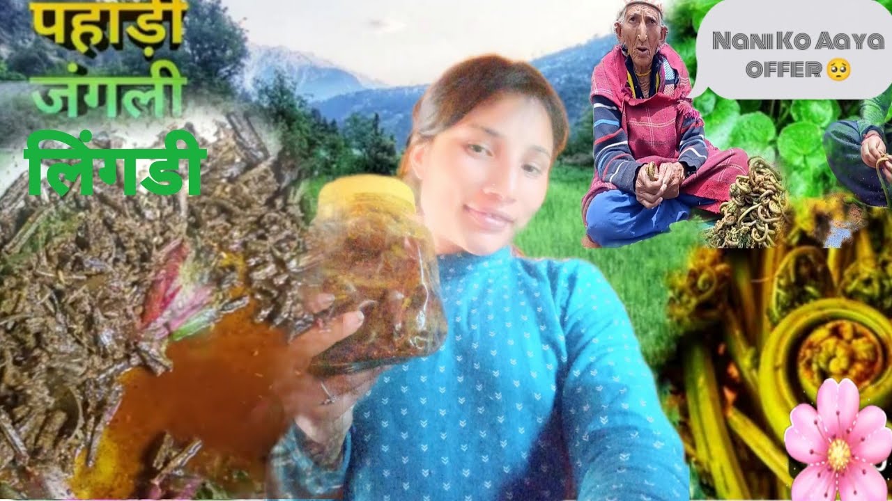 Himalayan Wild lingad Pickle recipe || Malana Village - YouTube