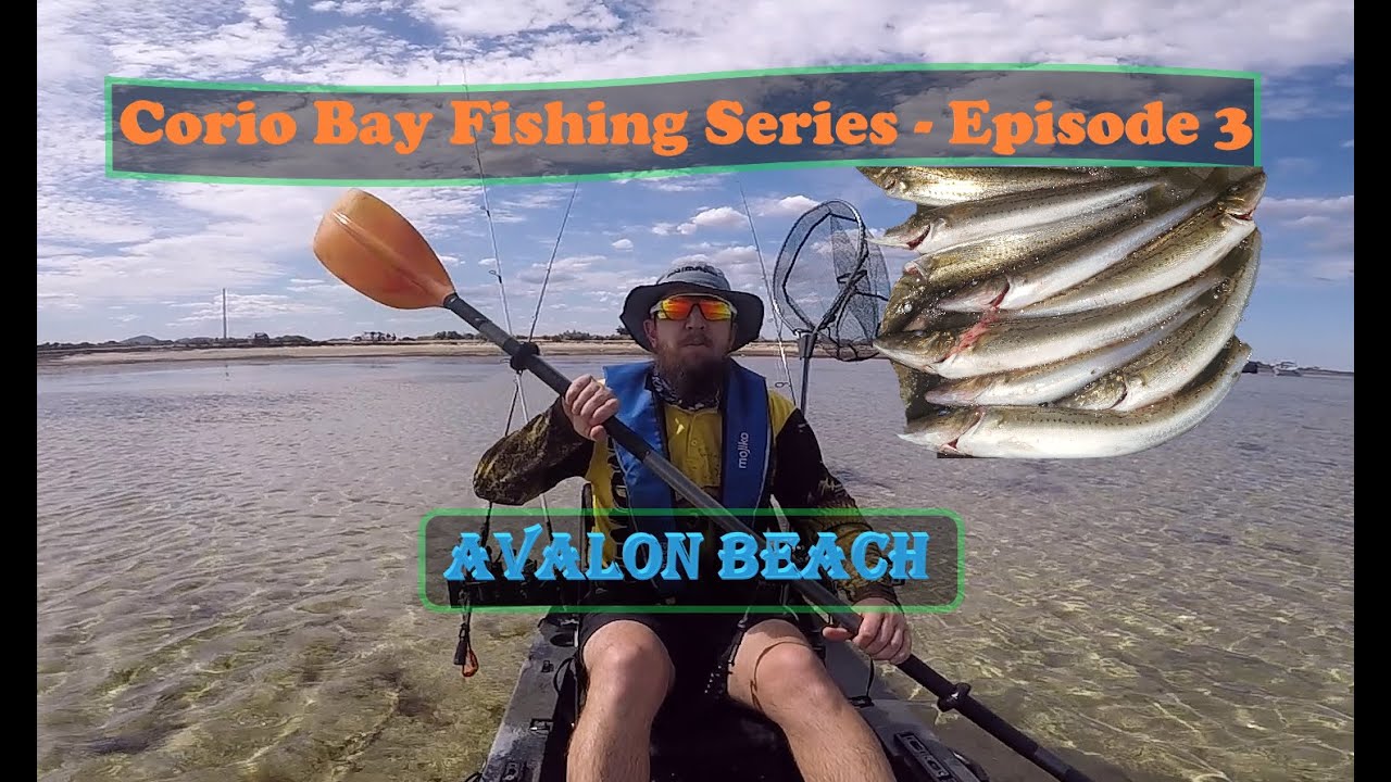 Corio Bay Fishing Episode 3 Avalon Beach - YouTube