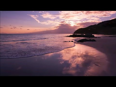 The Fall of Every Season - Aurelia (Lyrics)