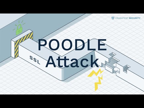 What Is A Poodle Information Leak
