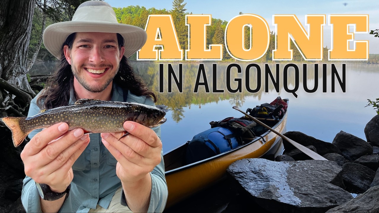 ALONE in Algonquin | 8-Day Wilderness Canoe Camping Adventure - YouTube