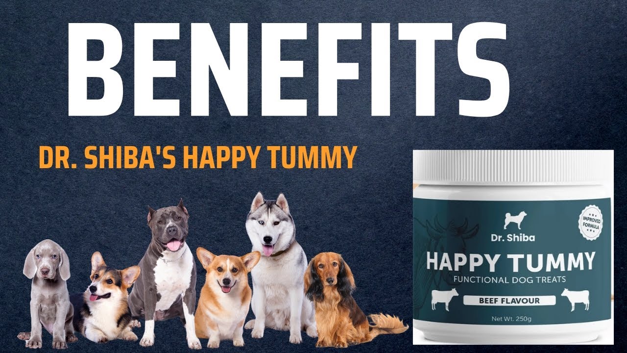 BENEFITS OF DR. SHIBA'S HAPPY TUMMY FOR DOGS - YouTube