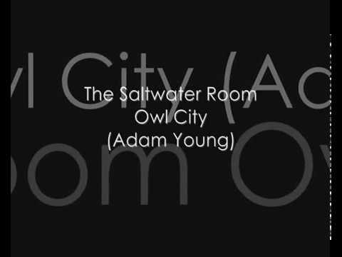 The Saltwater Room (Owl City) lyrics - YouTube