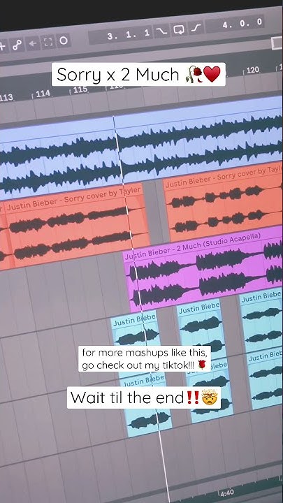 is it too late now to say sorry… 🥀💔 #JustinBieber #TaylerBuono #Sorry ...