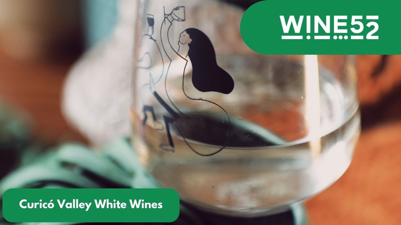 Curicó Valley White Wine Breakdown - YouTube