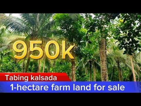 Repost Vlog#020/ 1-hectare farm land for sale tabing kalsada meron creek sa luob ng property ...