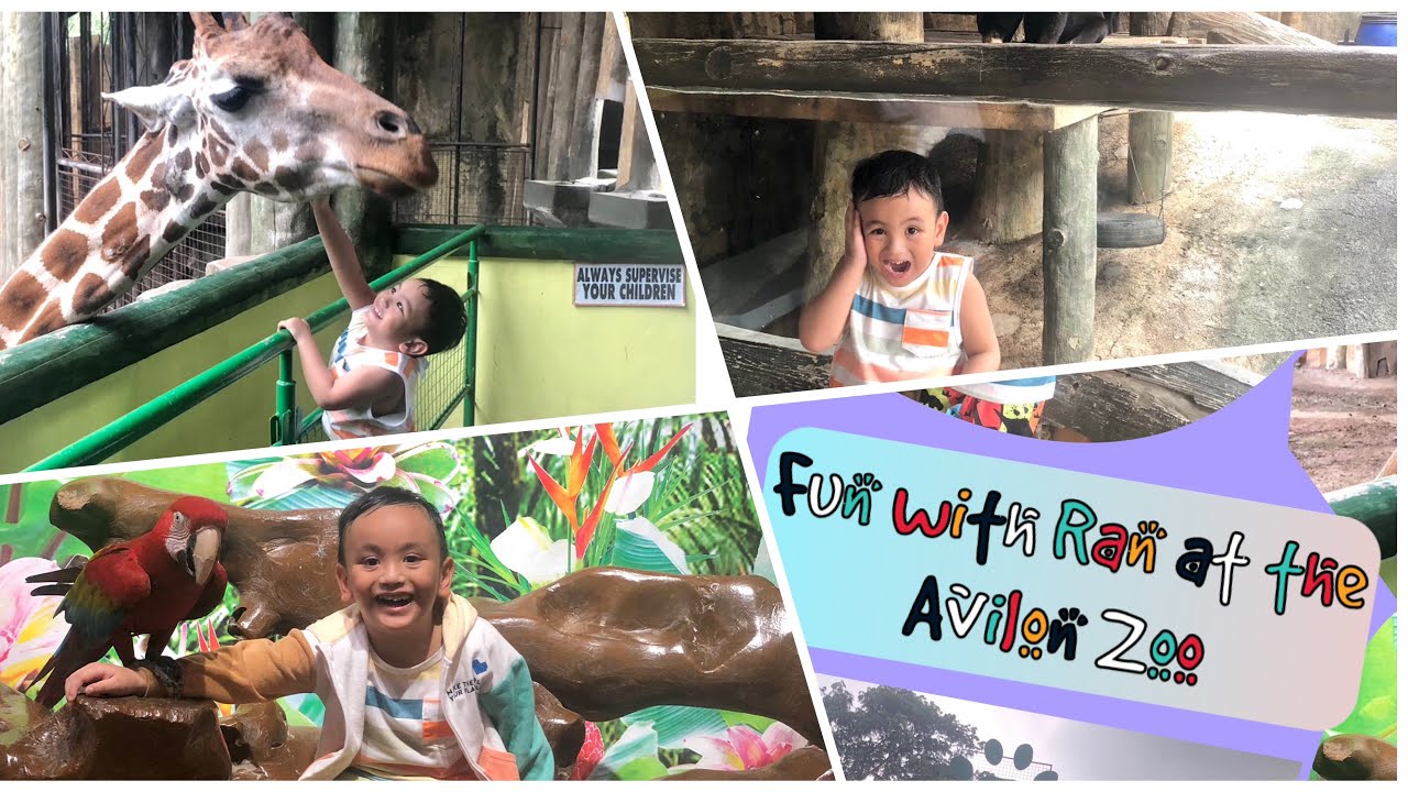 Tara na sa Avilon Zoo ! Yay! - YouTube