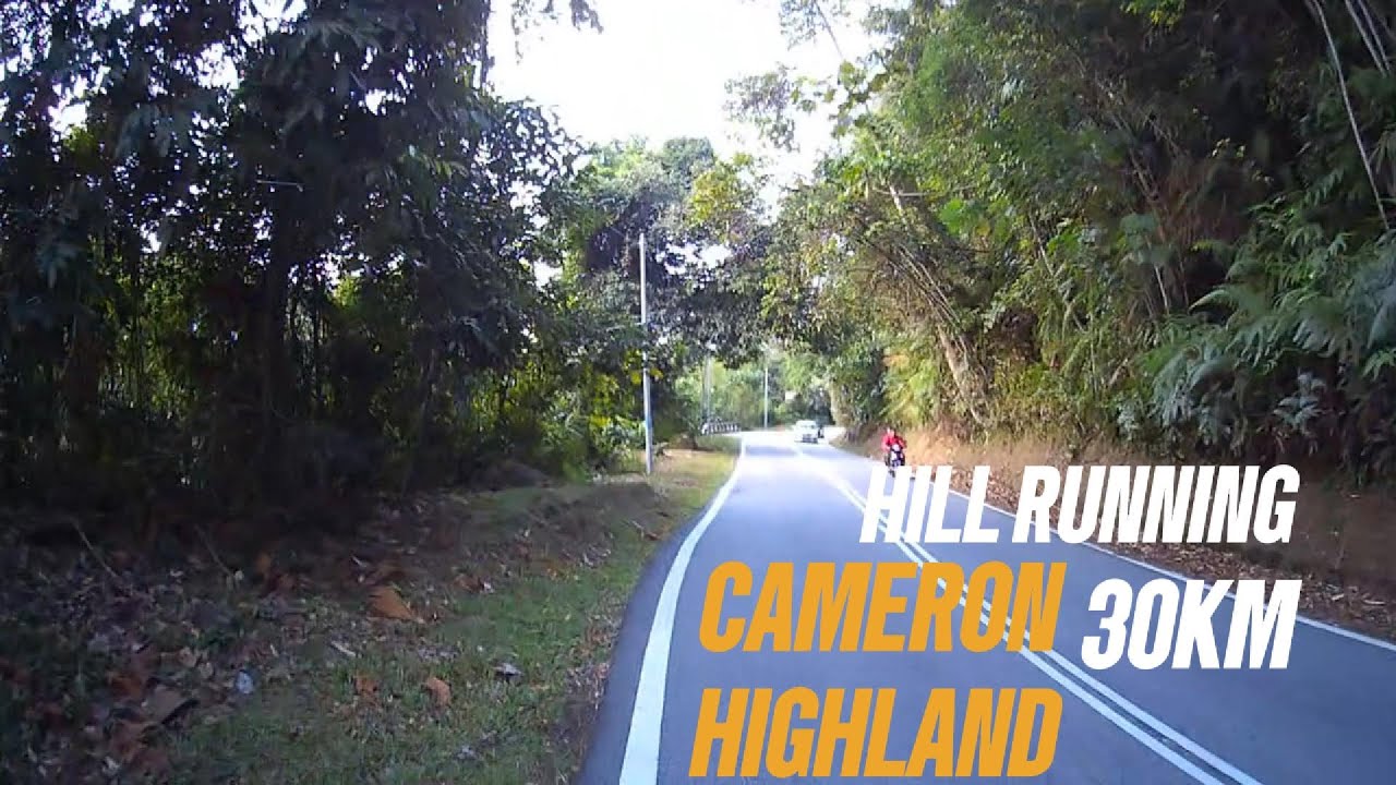 30km Morning Hill Run @ Cameron Highlands - YouTube