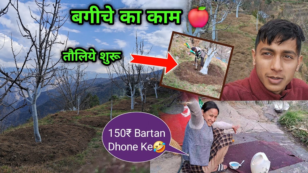 Bagiche Ka Kaam Shuru 🍎 Paharilifestyle Vlogs | Jitender Thakur Vlogs ...
