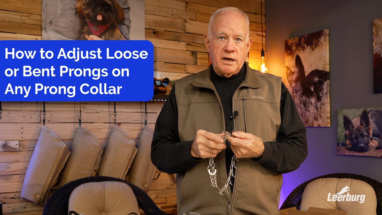 How to Adjust Loose or Bent Prongs on Any Prong Collar - YouTube