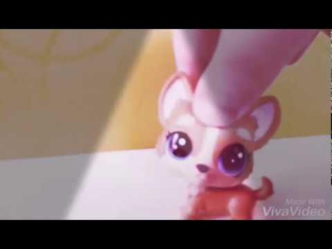 Ece Seçkin Adeyyo (musıc video 📹)