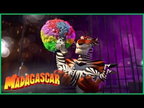DreamWorks Madagascar em Português | Apresentação Circo - Madagascar 3 | Desenhos Animados
