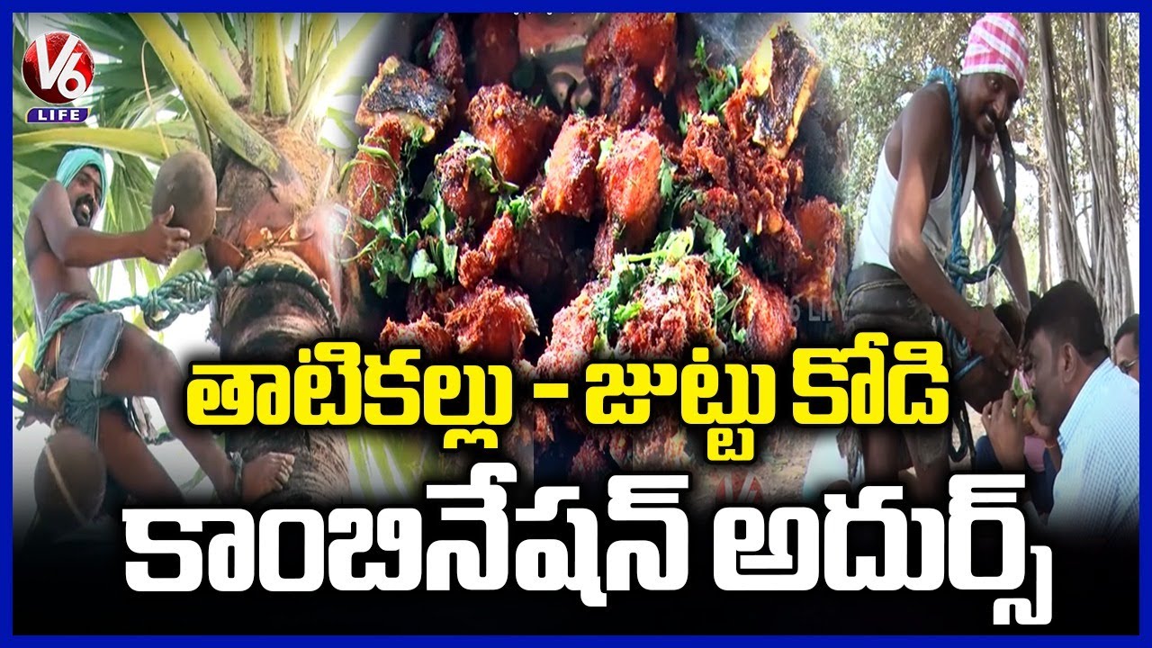 Telangana Style Thati Kallu Juttu Kodi Kura In Gullakota Village ...