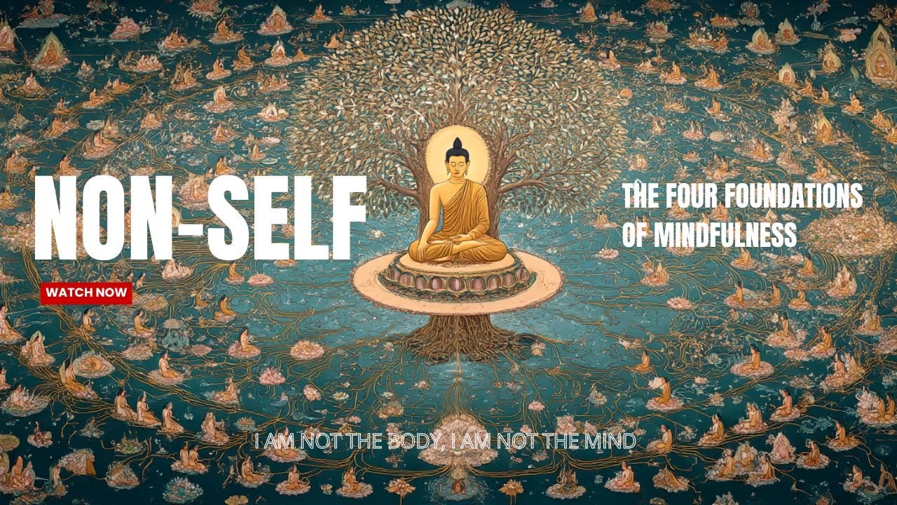 Non-self in the four foundations of mindfulness | I am not the body, I ...