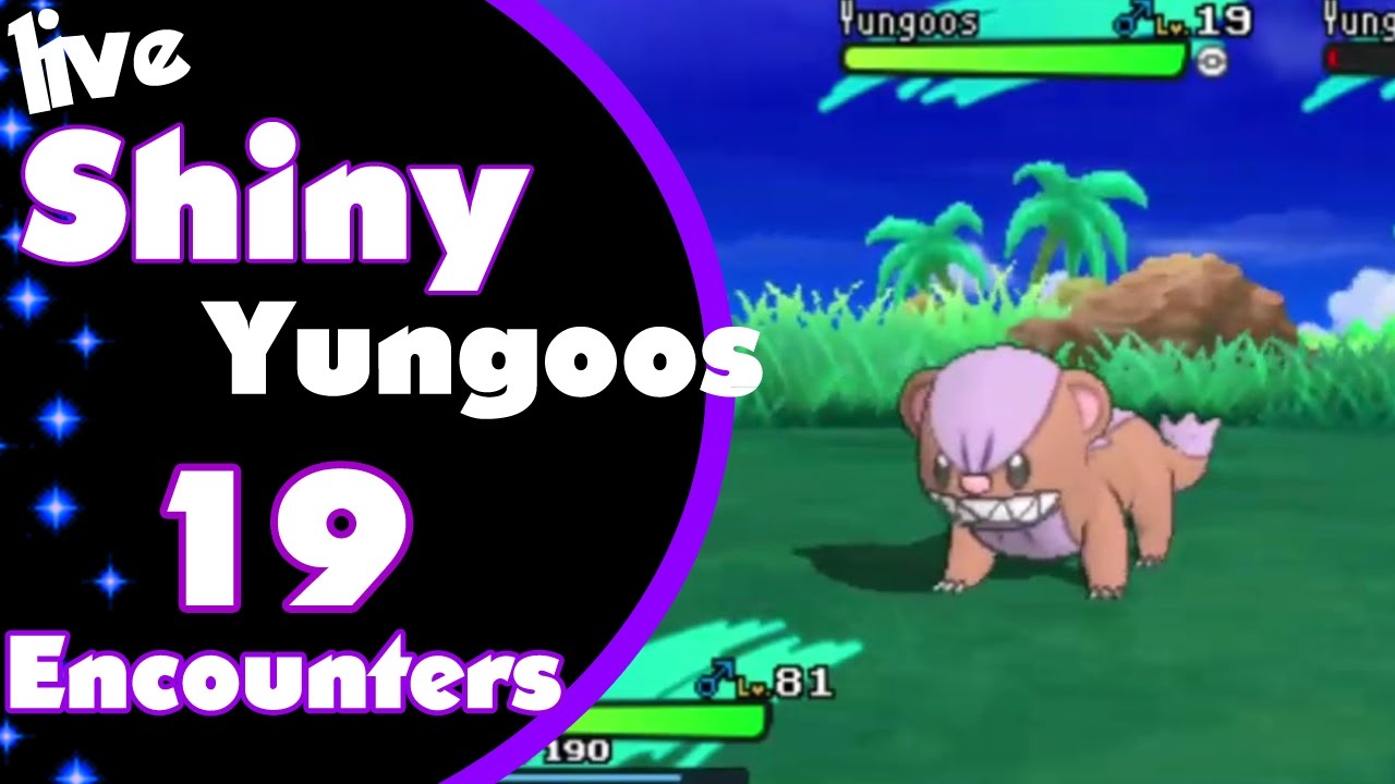 Shiny Yungoos 19 Encounters! - YouTube