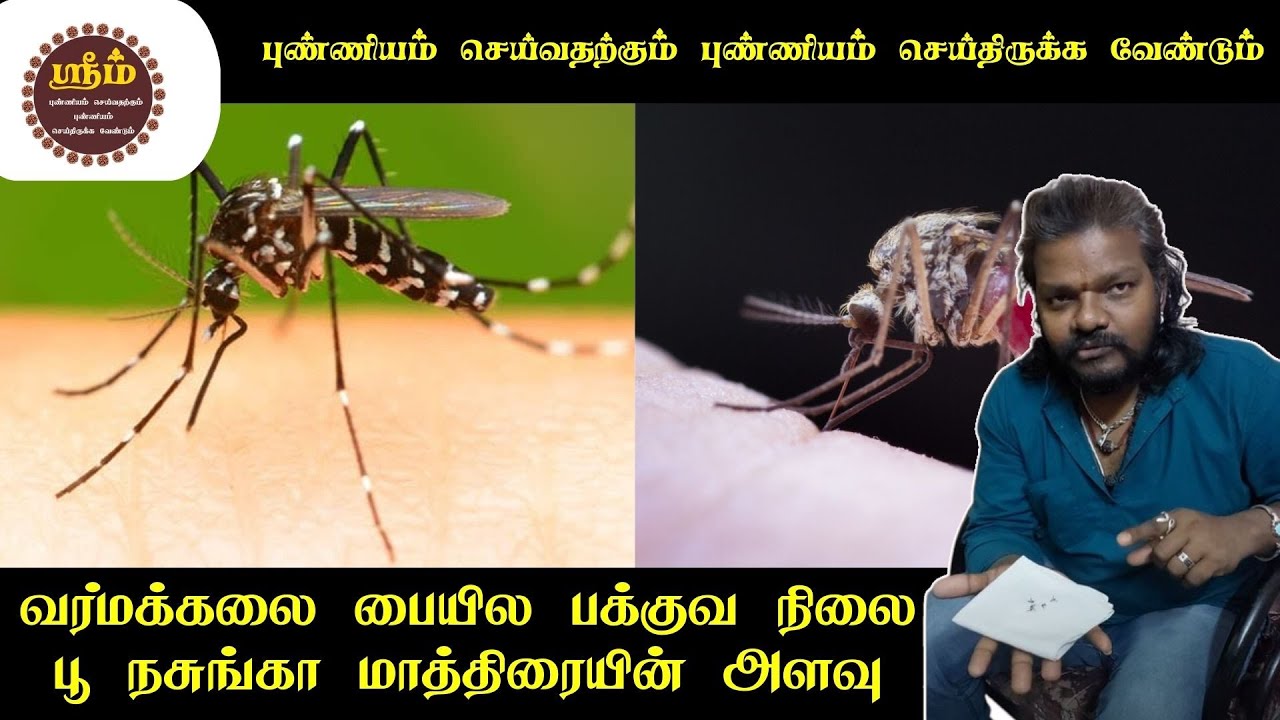 வர்மக்கலை பையில பக்குவ நிலை | Poo Nasunga Maththirai alavu | SHREEM TV ...