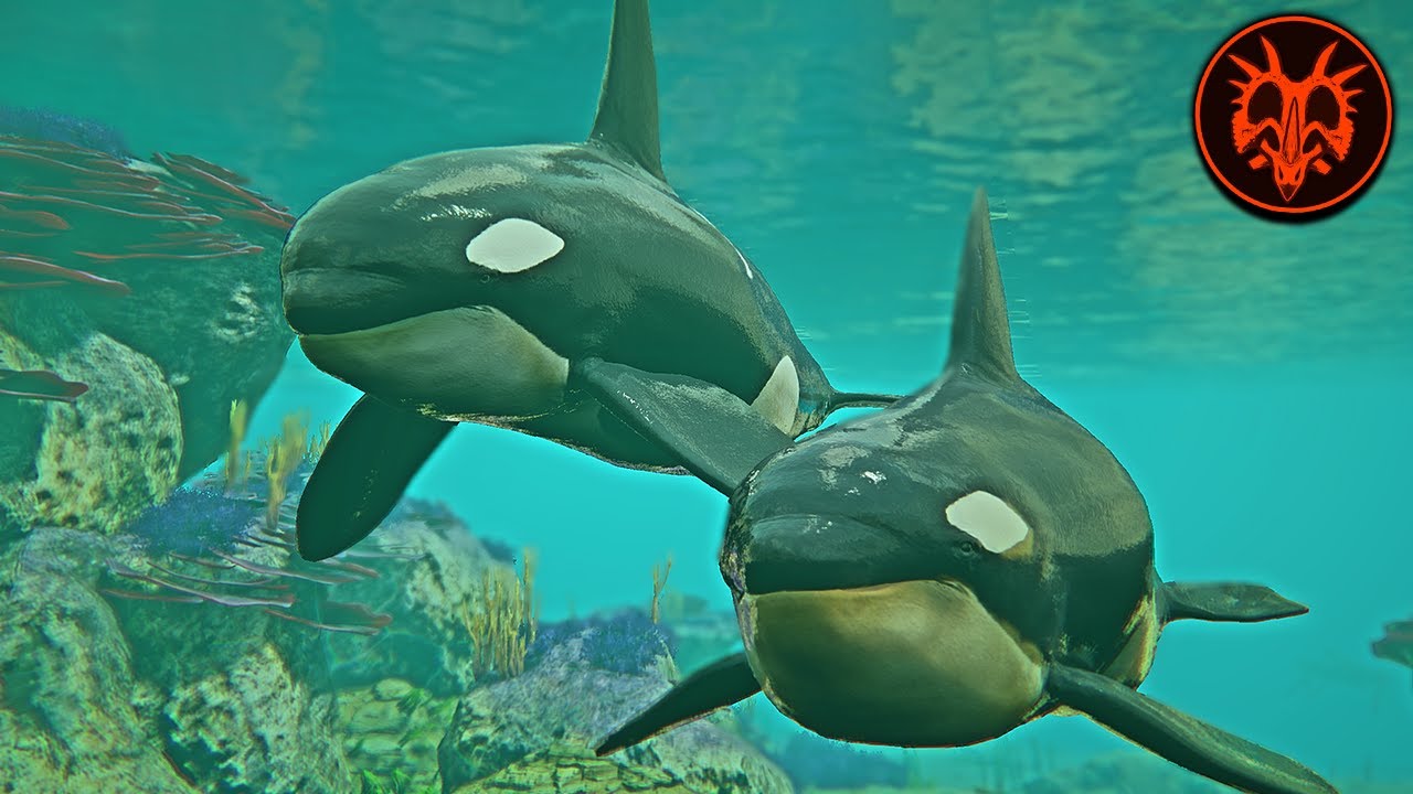 The Great ORCA Migration! | Path of Titans Peaceful migration - YouTube