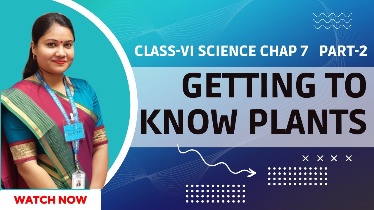 Getting to Know Plants Chapter 7 Class 6 Science /Part 2/ Class 6 ...