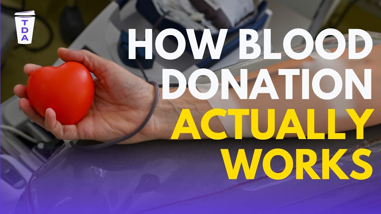How does blood donation actually work? | The Daily Aus - YouTube