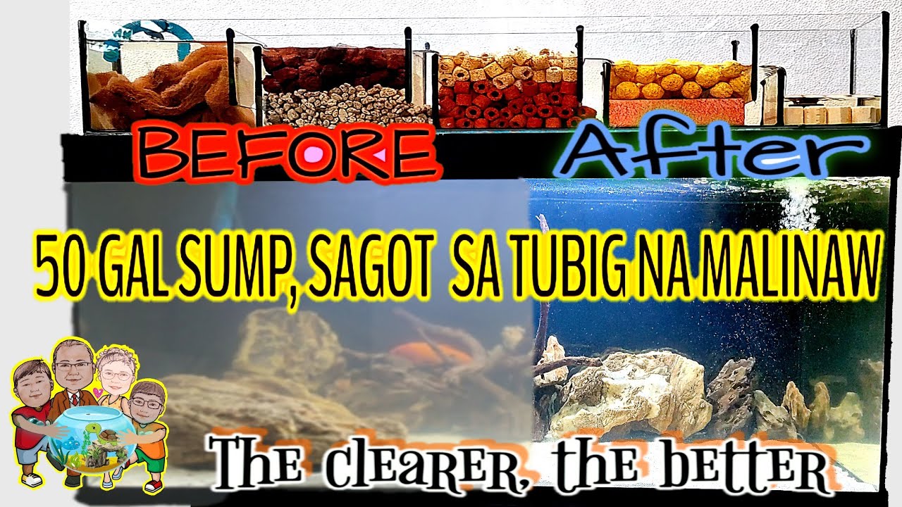 OVERHEAD SUMP FILTER |50GALLON AQUARIUM - YouTube