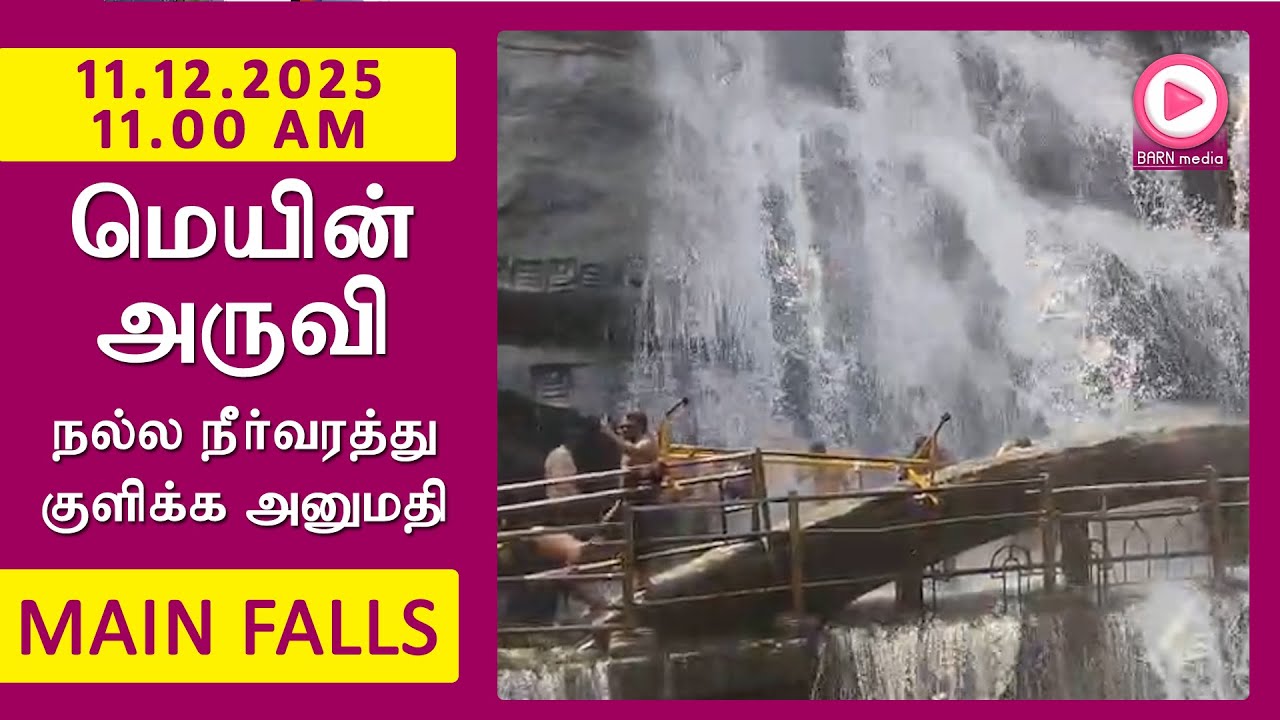 Main Falls | 11.12.2025, 11.00 AM | குற்றாலம் மெயின் அருவி வீடியோ ...