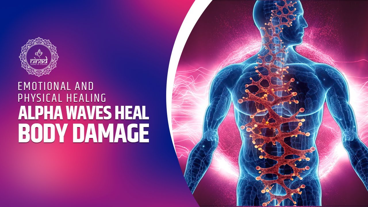 Alpha Waves Heal Body Damage, Heal Damaged Organs | Binaural Beats ...