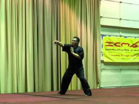 Southern praying mantis, Jan 25, 2014 - YouTube