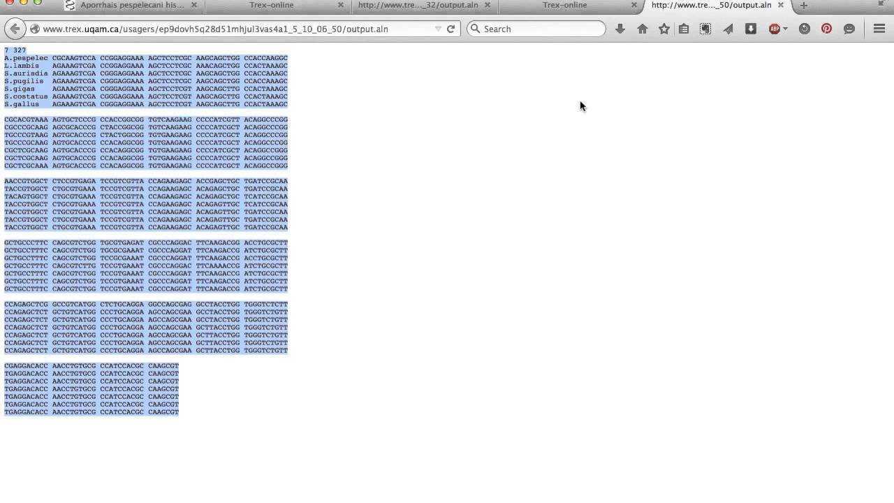 Phylogeny reconstruction using gene sequences - YouTube