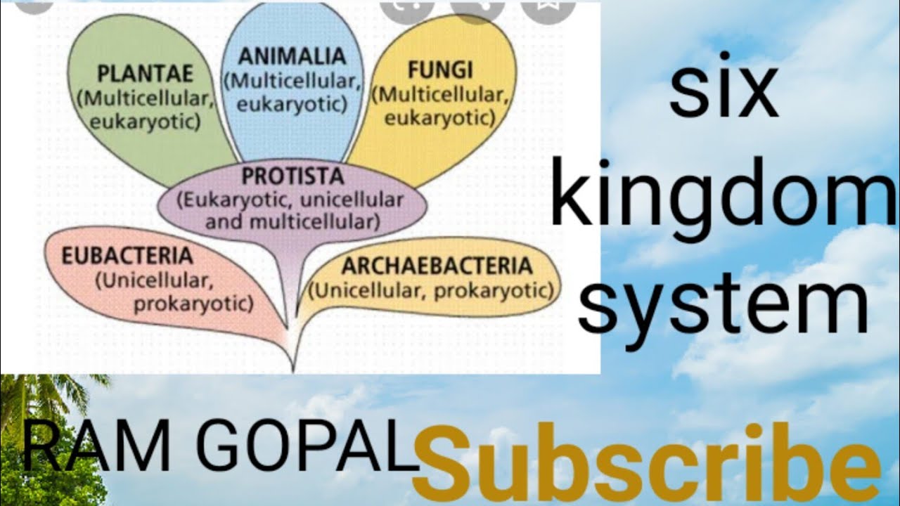 SIX KINGDOM SYSTEM CLASSIFICATION - YouTube