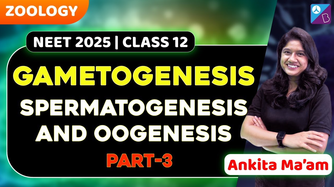 Gametogenesis | Spermatogenesis and Oogenesis | Part-3 | NEET 2025 ...