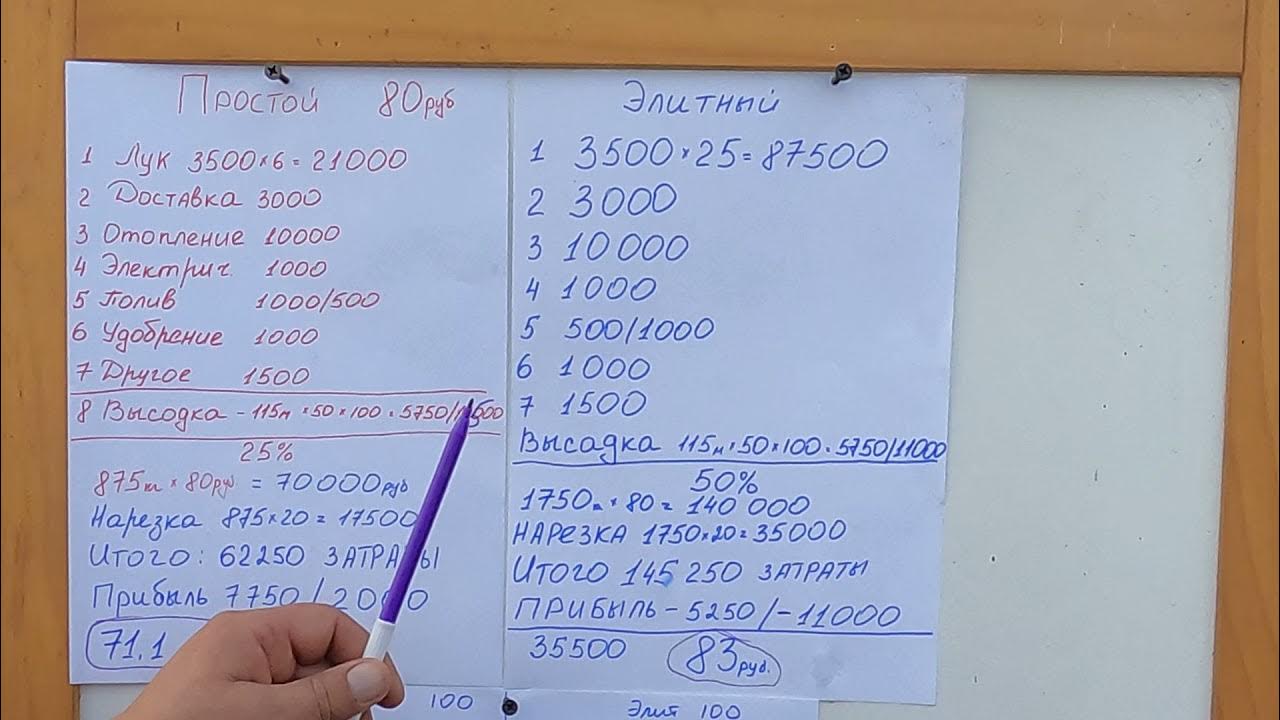 (ЭТО ВАЖНО)Сколько стоит вырастить 1 кг зеленого лука. Себестоимость ...
