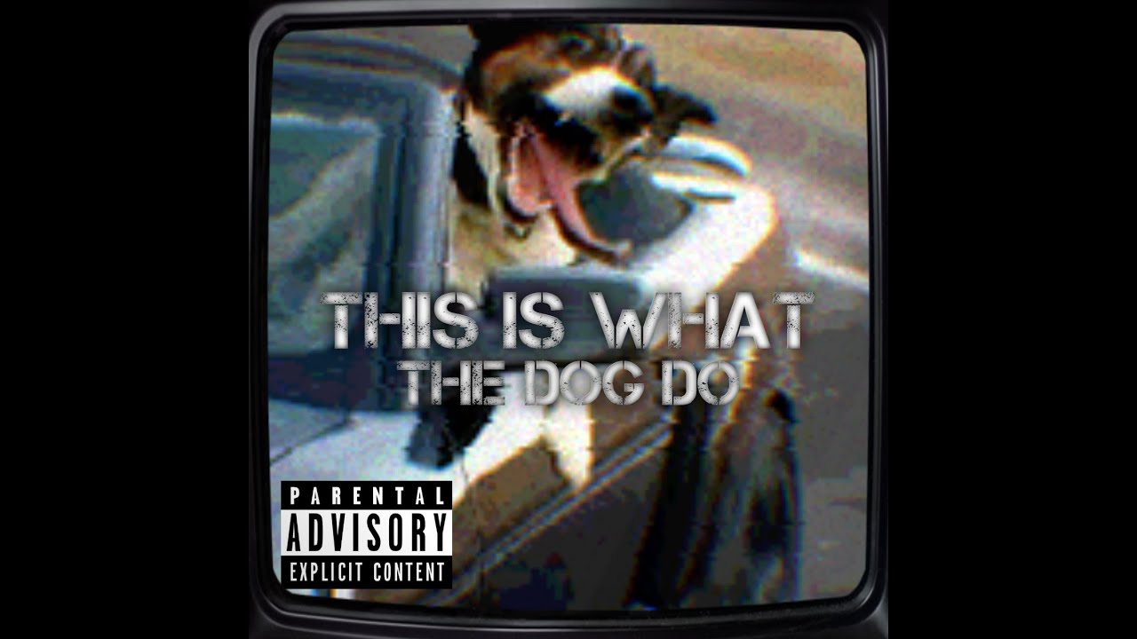 What The Dog Doin (The Song) - YouTube
