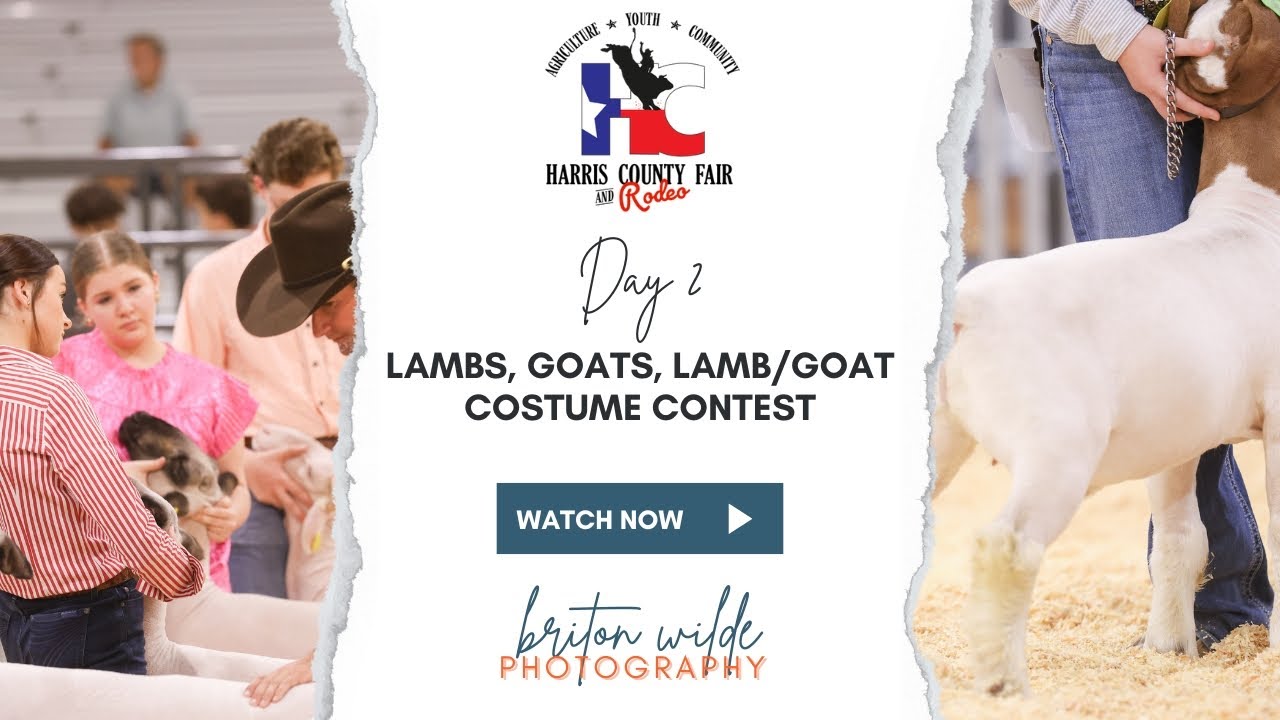 Harris County Fair and Rodeo 2024 - Lambs, Goats, Goat/Lamb Costume ...