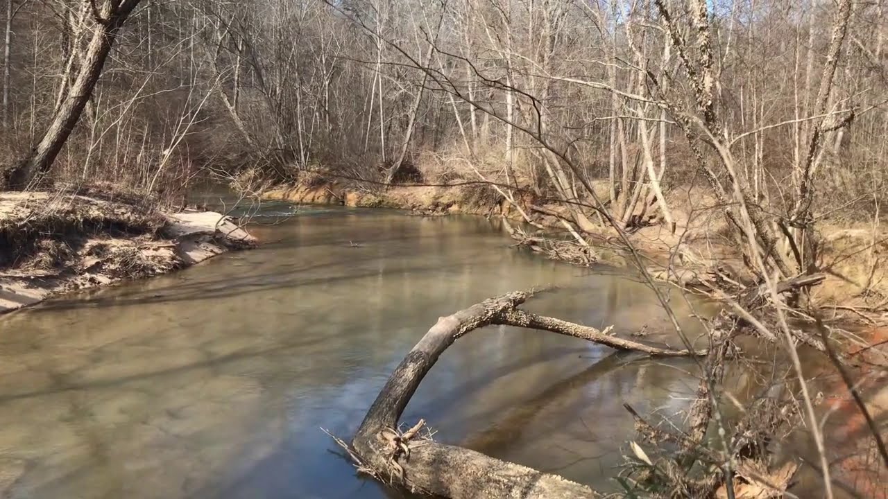 Clearing Trails with the RK37 - YouTube