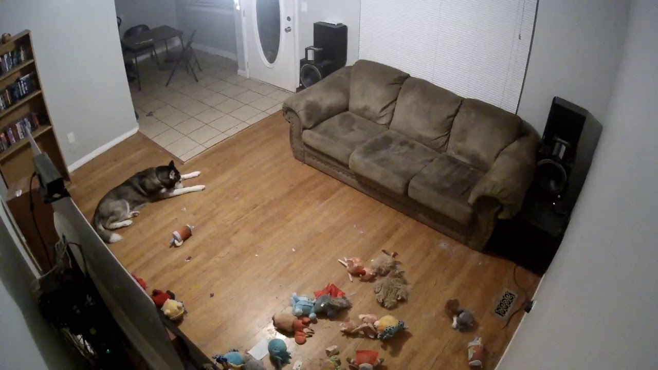 The MadDok Live Stream - YouTube