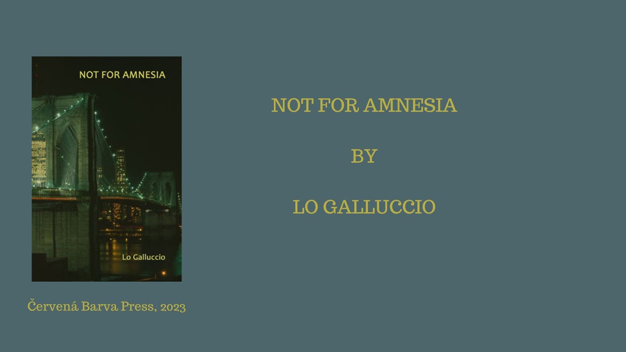 NOT FOR AMNESIA by Lo Galluccio/ Book Trailer - YouTube