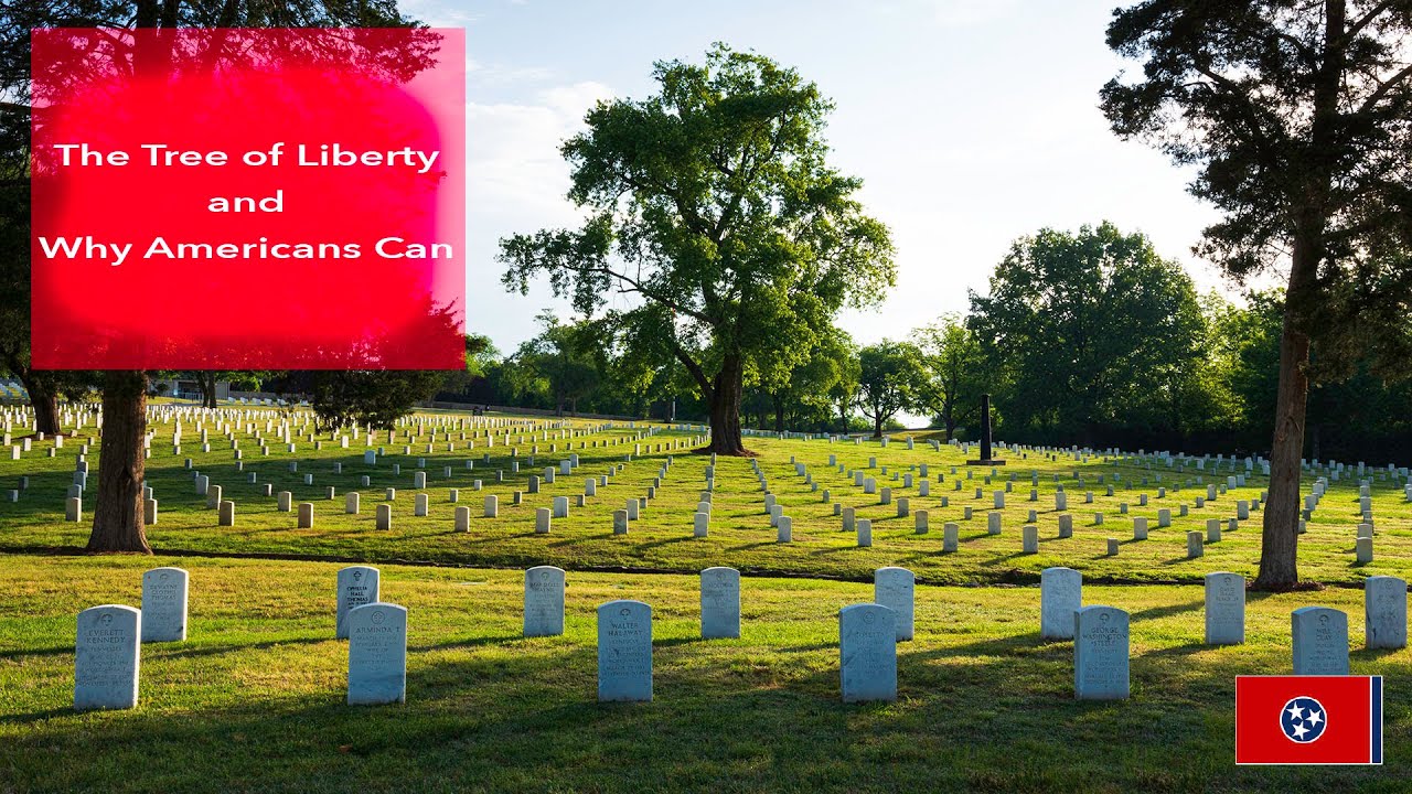 The Tree of Liberty and Why Americans can... - YouTube