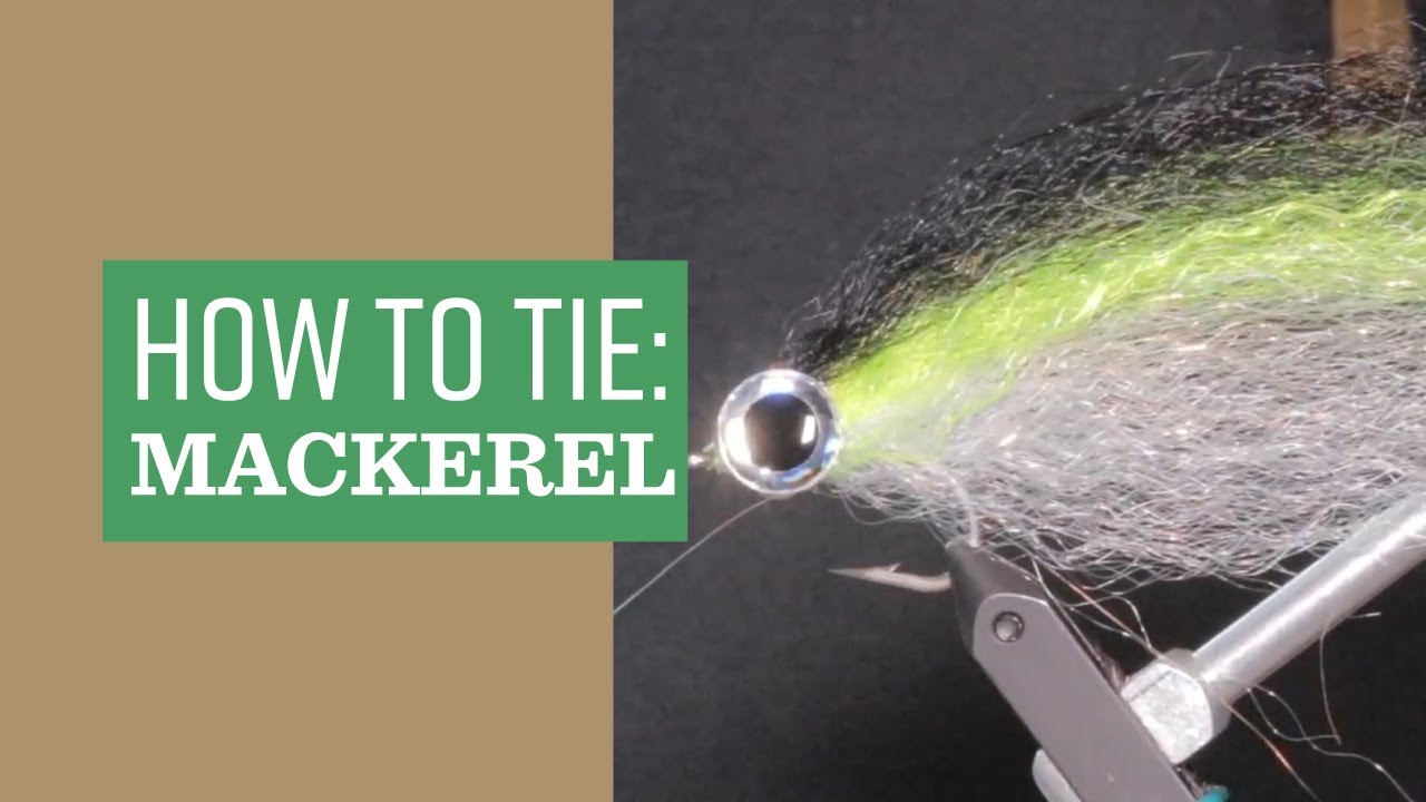 Awesome Saltwater Fly Pattern: Tying Postfly's Mackerel Fly - Great for ...