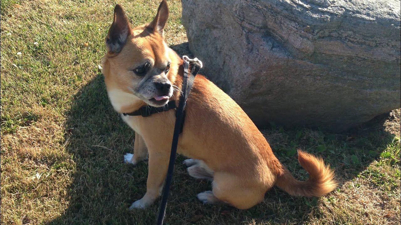 Qhrist Speaks Part 156 The Blip of Goodness before the bad - YouTube