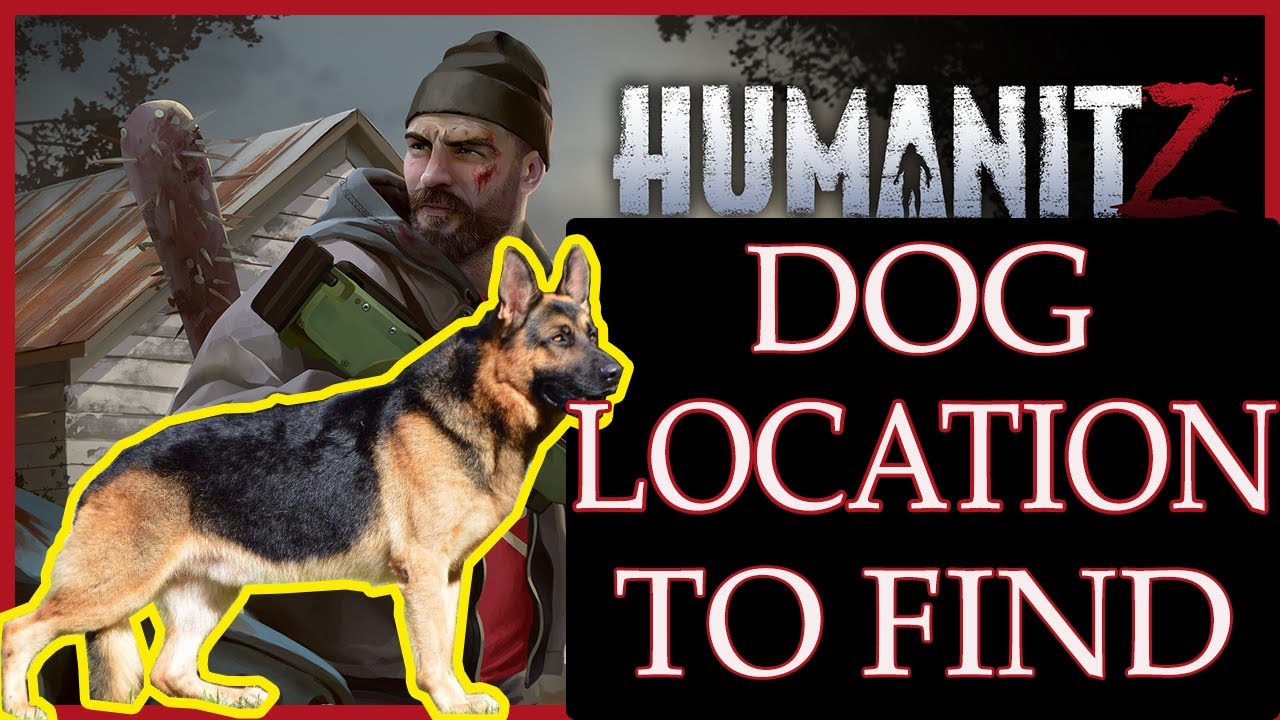 Humanitz Dog companion ! Location to find - YouTube