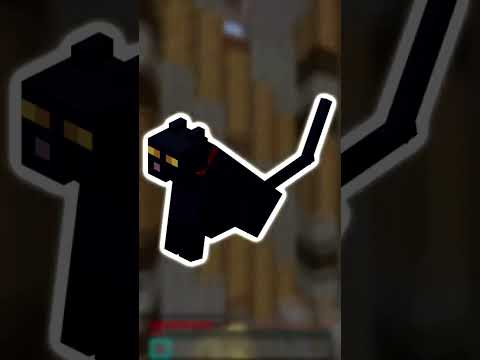 TODAS las VARIANTES del GATO en MINECRAFT - YouTube