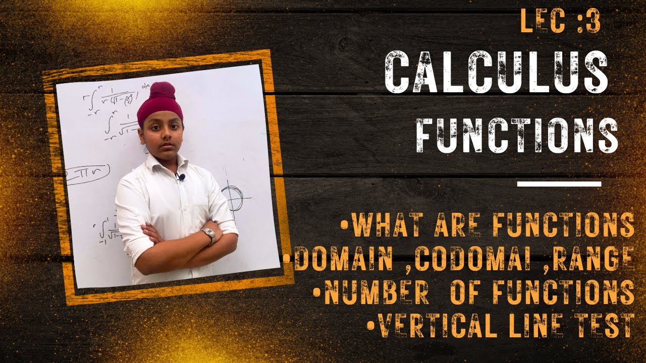 Functions|calculus|lecture 3 |HSK Studies | domain,codomain,range ...