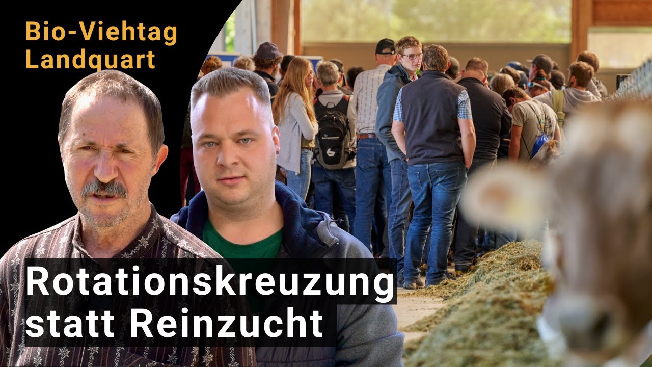 Erfahrungen mit der Rotationskreuzung (mit Andreas Melchior und Marc ...