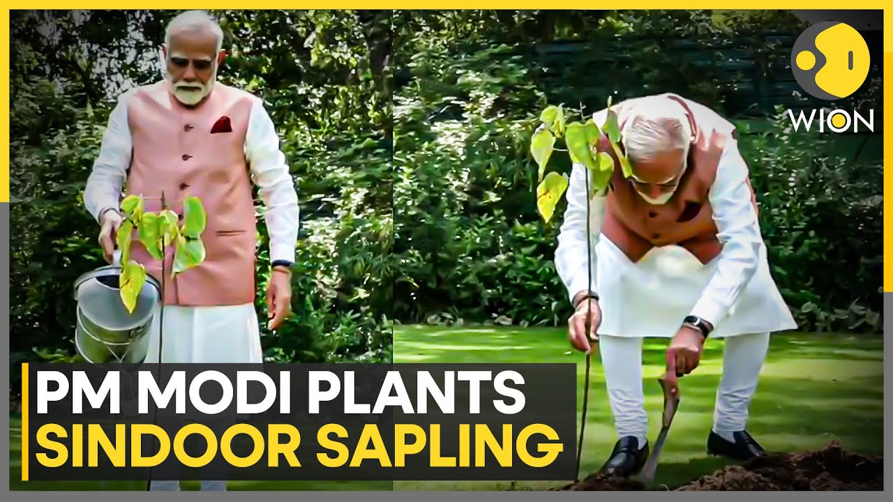 PM Modi Plants Sindoor Saplings At His Residence On The Occasion Of ...