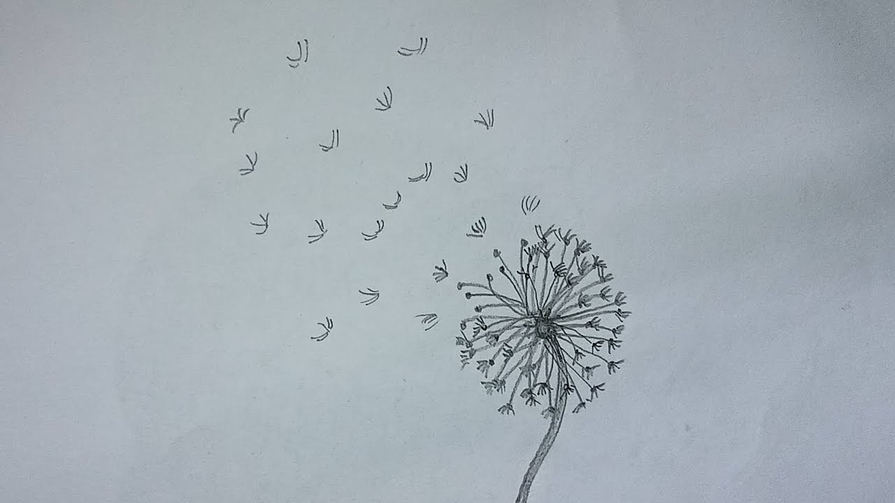 Cara mudah menggambar Bunga Dandelion menggunakan pensil | stepbystep ...