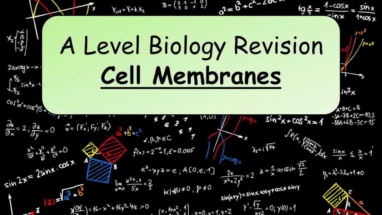 A Level Biology Revision on Cell Membranes - YouTube