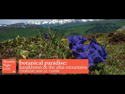 A Botanical Paradise: Kazakhstan & the Altai Mountains
